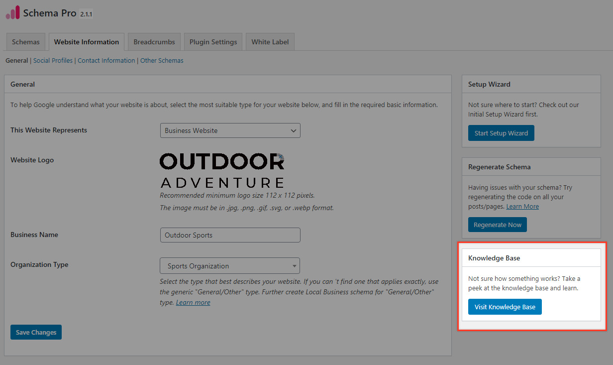 Enhanced Admin Interface with Advanced Options - Schema Pro
