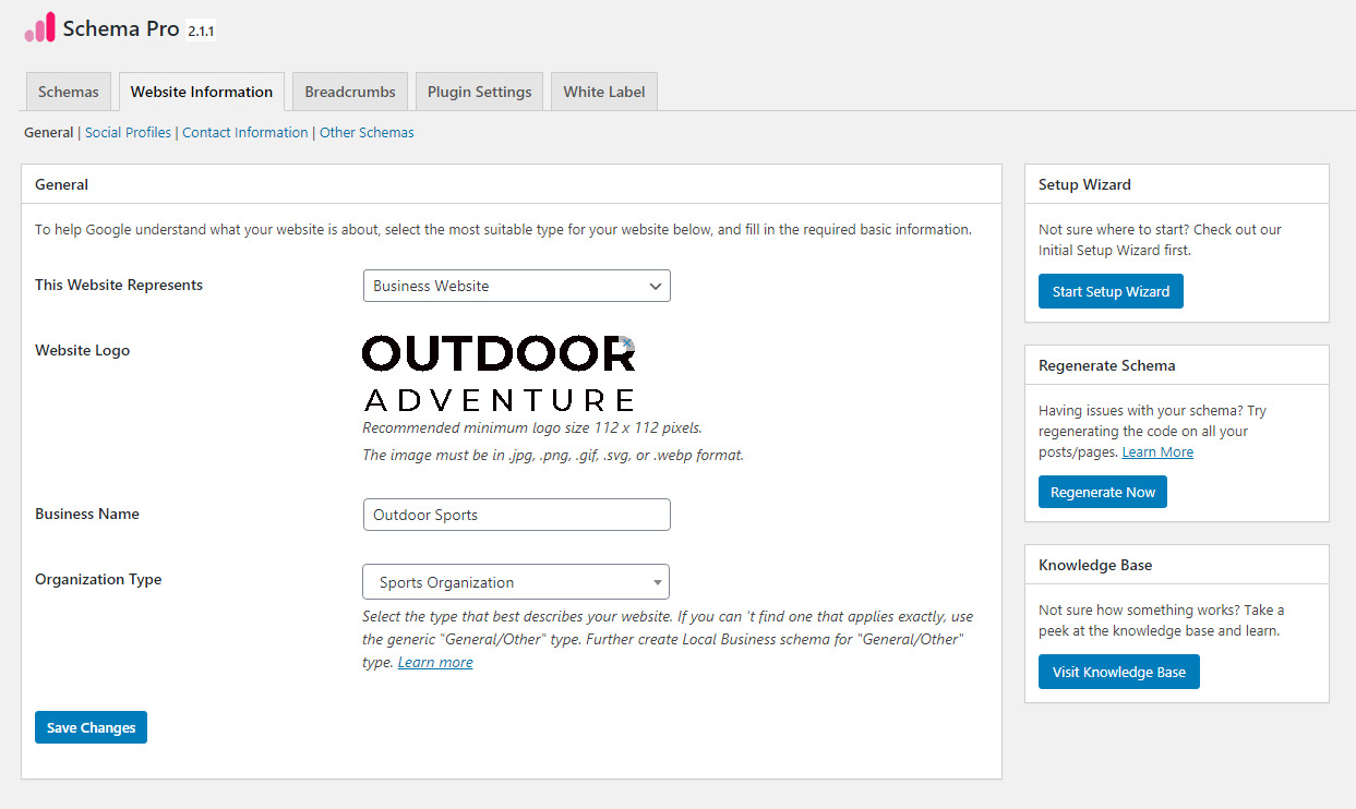 Enhanced Admin Interface with Advanced Options - Schema Pro