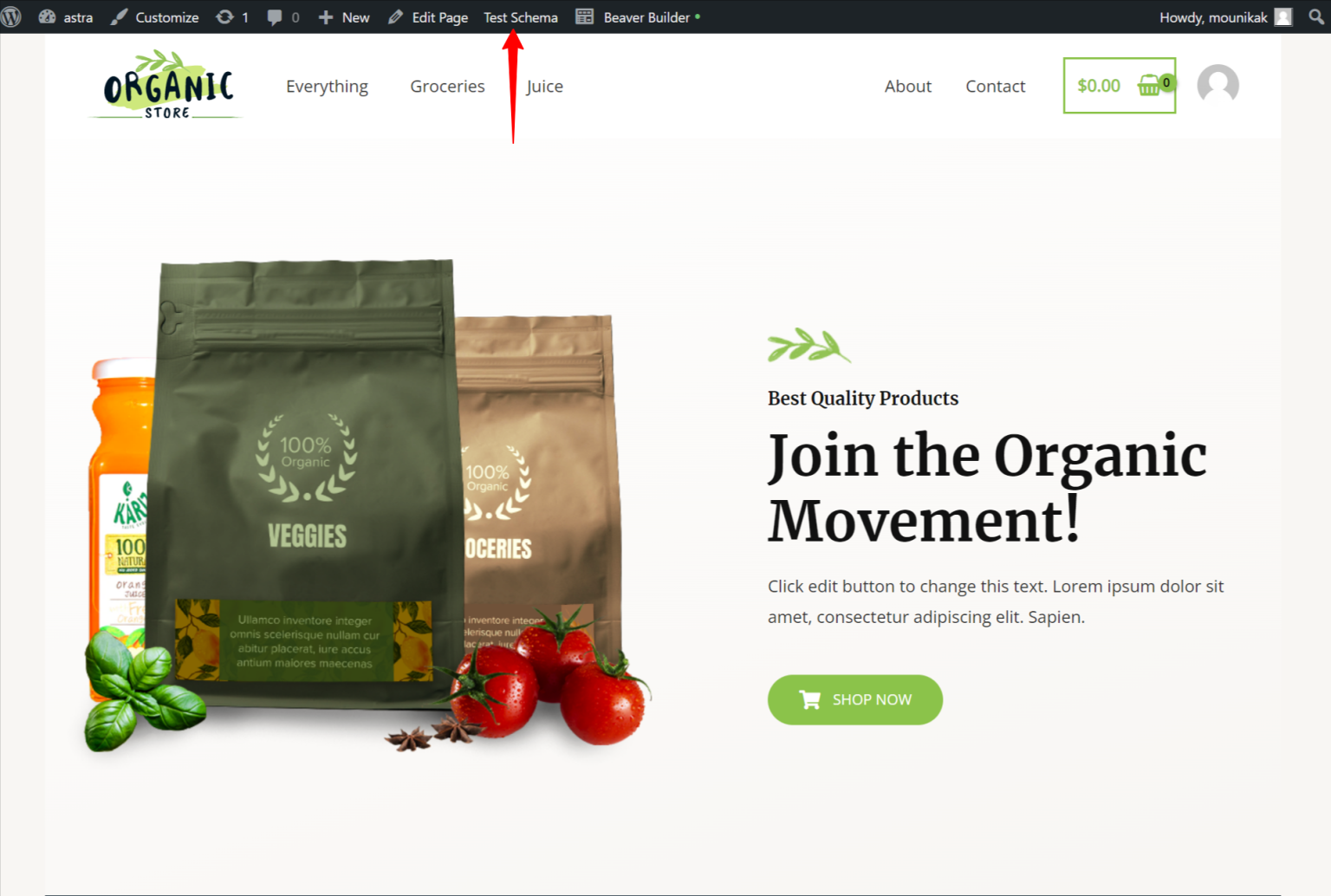 Test the Schema Markup Implementation? - Schema Pro